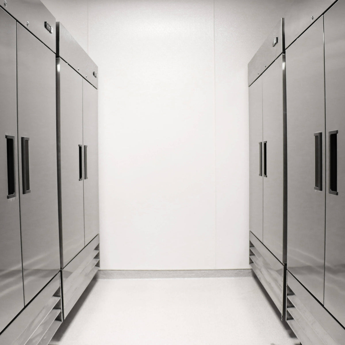 Unlocking Efficiency and Storage with Our Reach-In Freezers – Kitchen ...